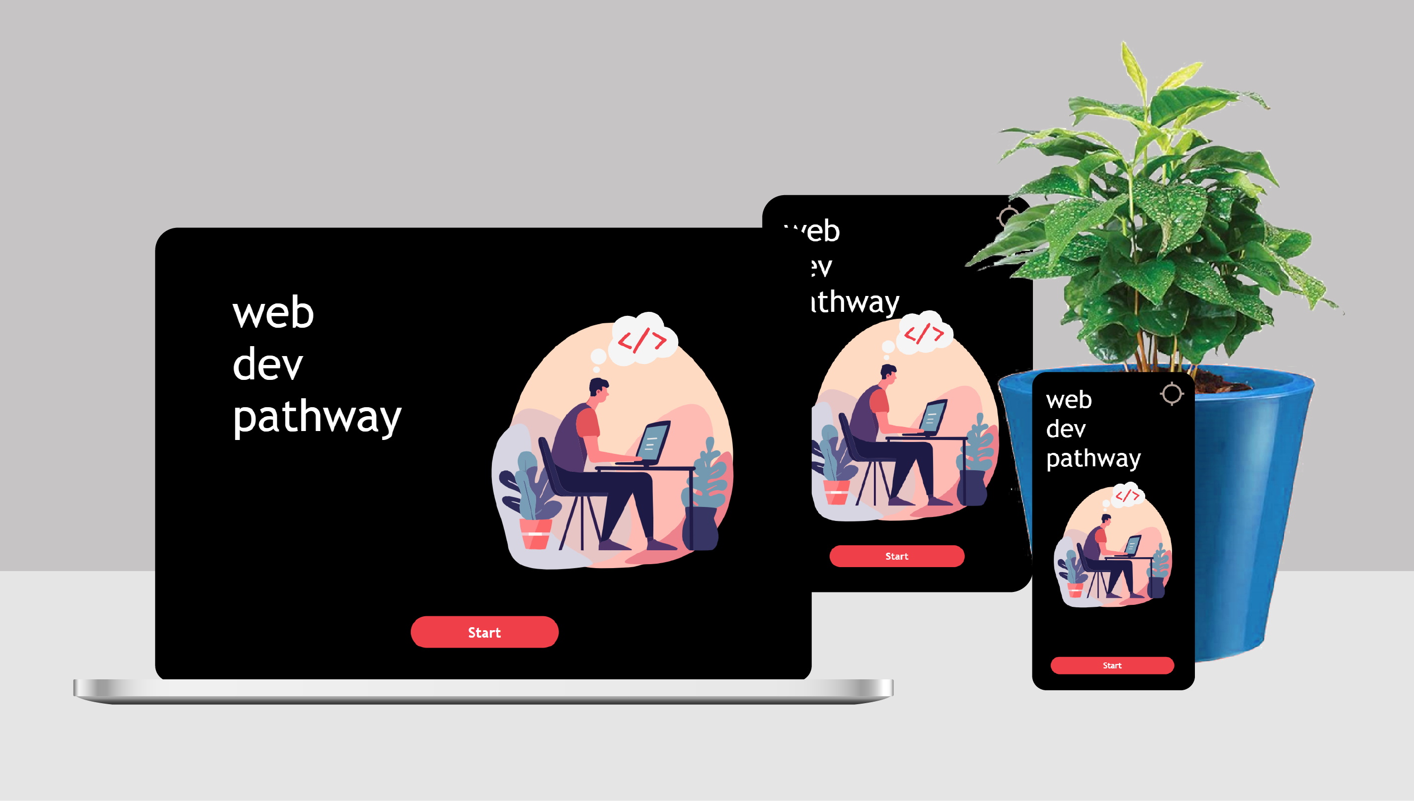 Peta Stewart's Portfolio